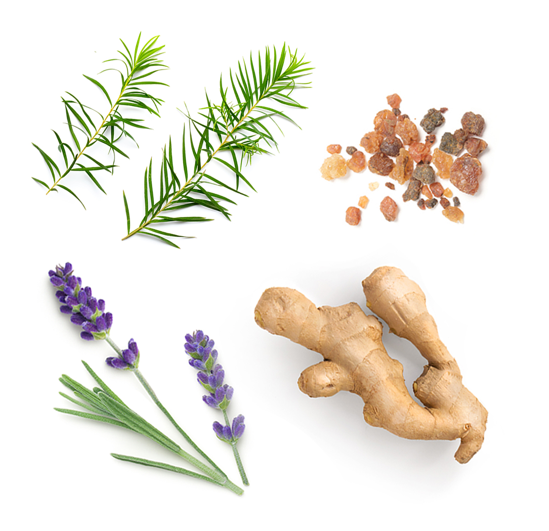 Correct-X DoTerra - OnlyOils.eu
